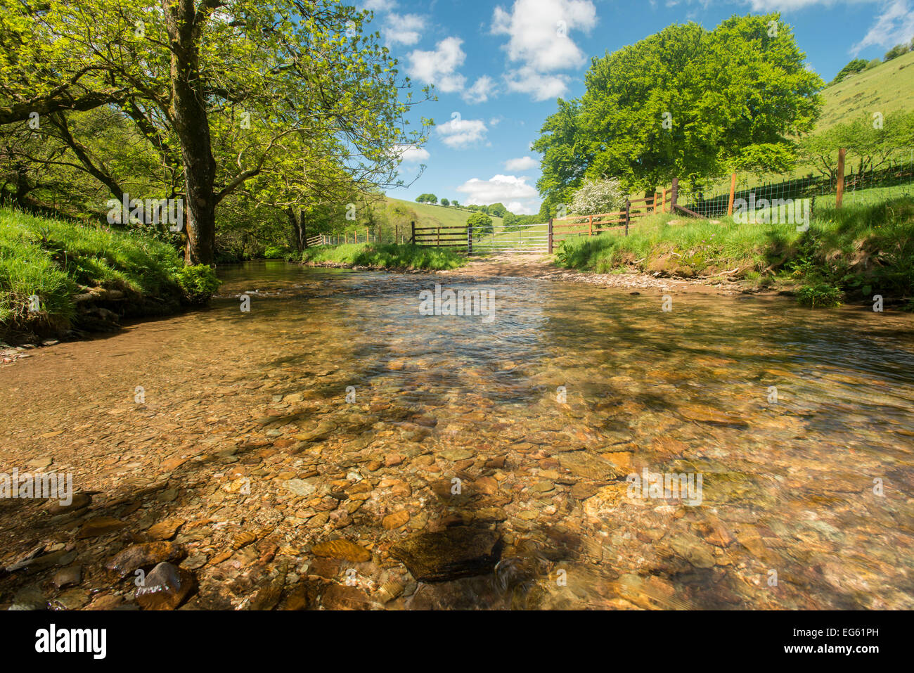 River Exe, near Winsford, showing river correctly fenced to stop cattle ...
