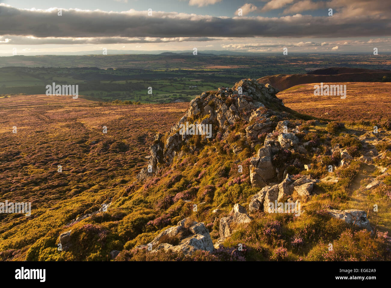 Rock outcrop formed of Ordovician quartzite on Stiperstones Ridge ...
