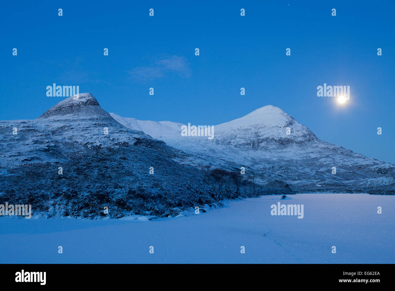 European river otter (Lutra lutra) footprints crossing frozen Loch ...