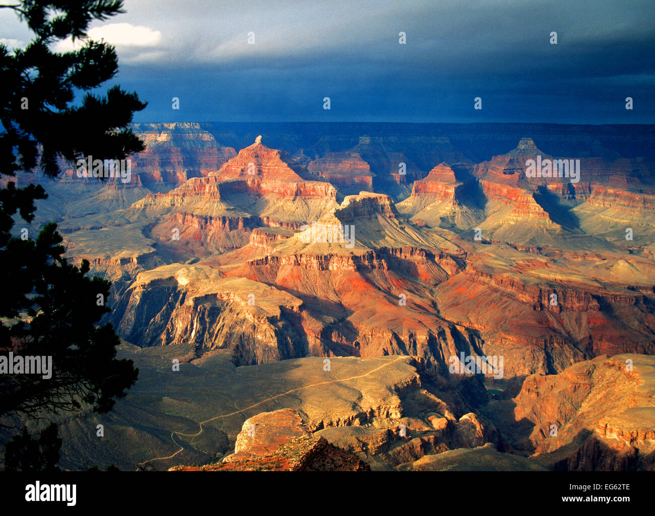 Grand Canyon National Park view from Yavapai Point on South Rim in ...