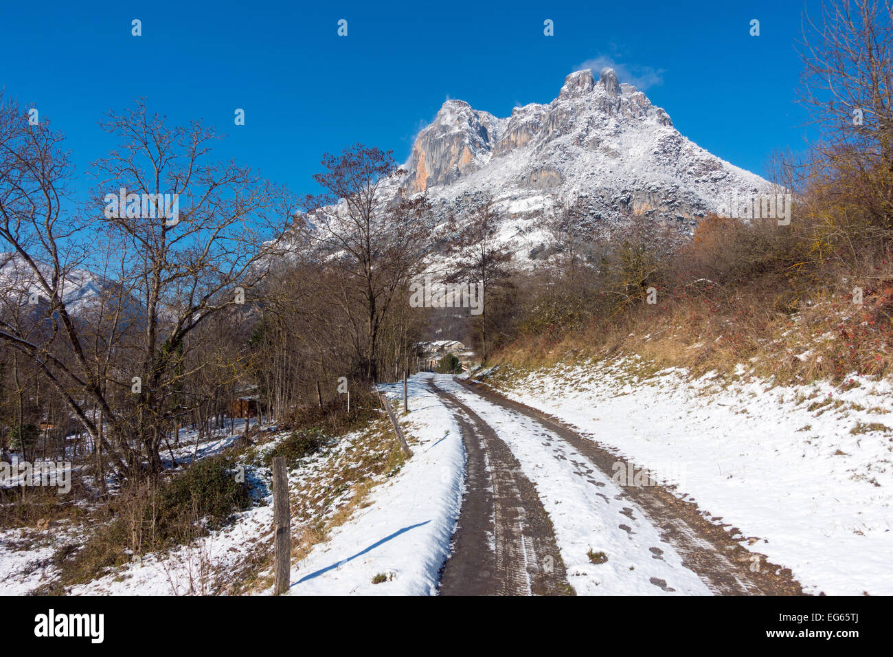 Snowy track with tire marks leading toward snow covered mountain ...