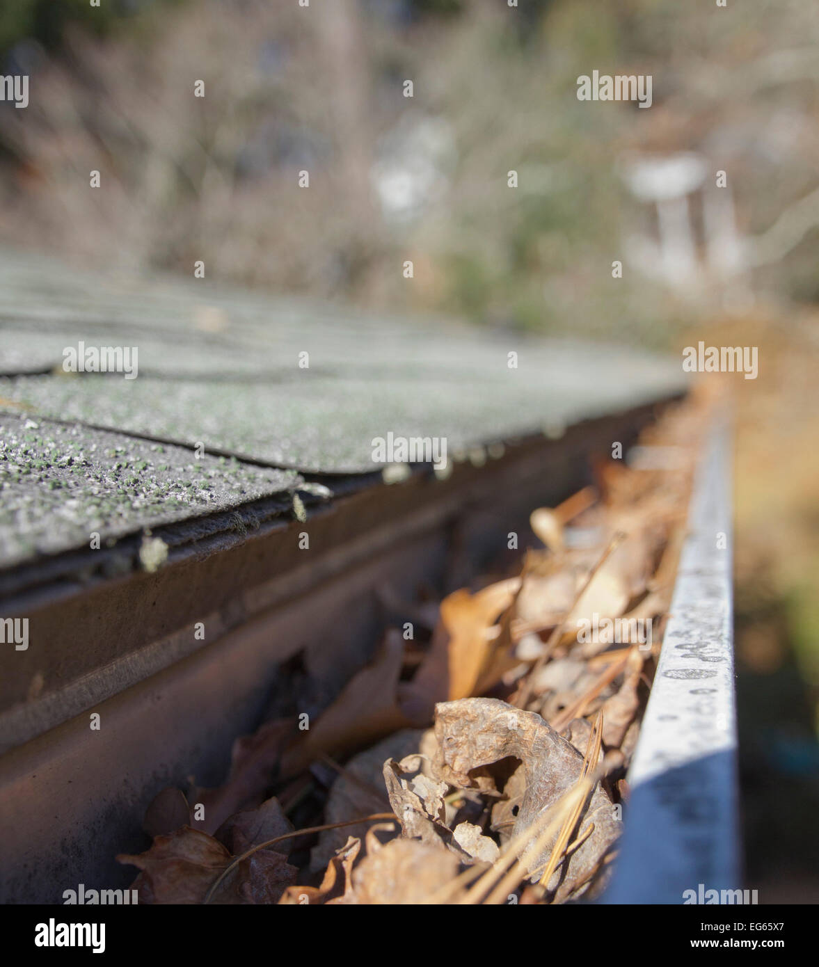 Full gutter hi-res stock photography and images - Alamy