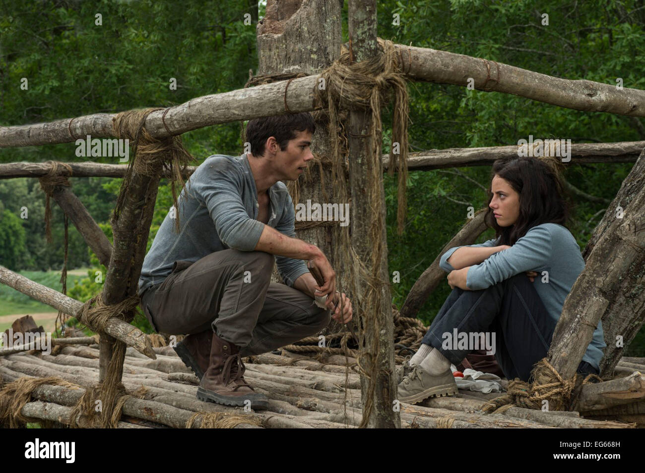 THE MAZE RUNNER (2014) DYLAN O'BRIEN, KAYA SCODELARIO WES BALL (DIR ...