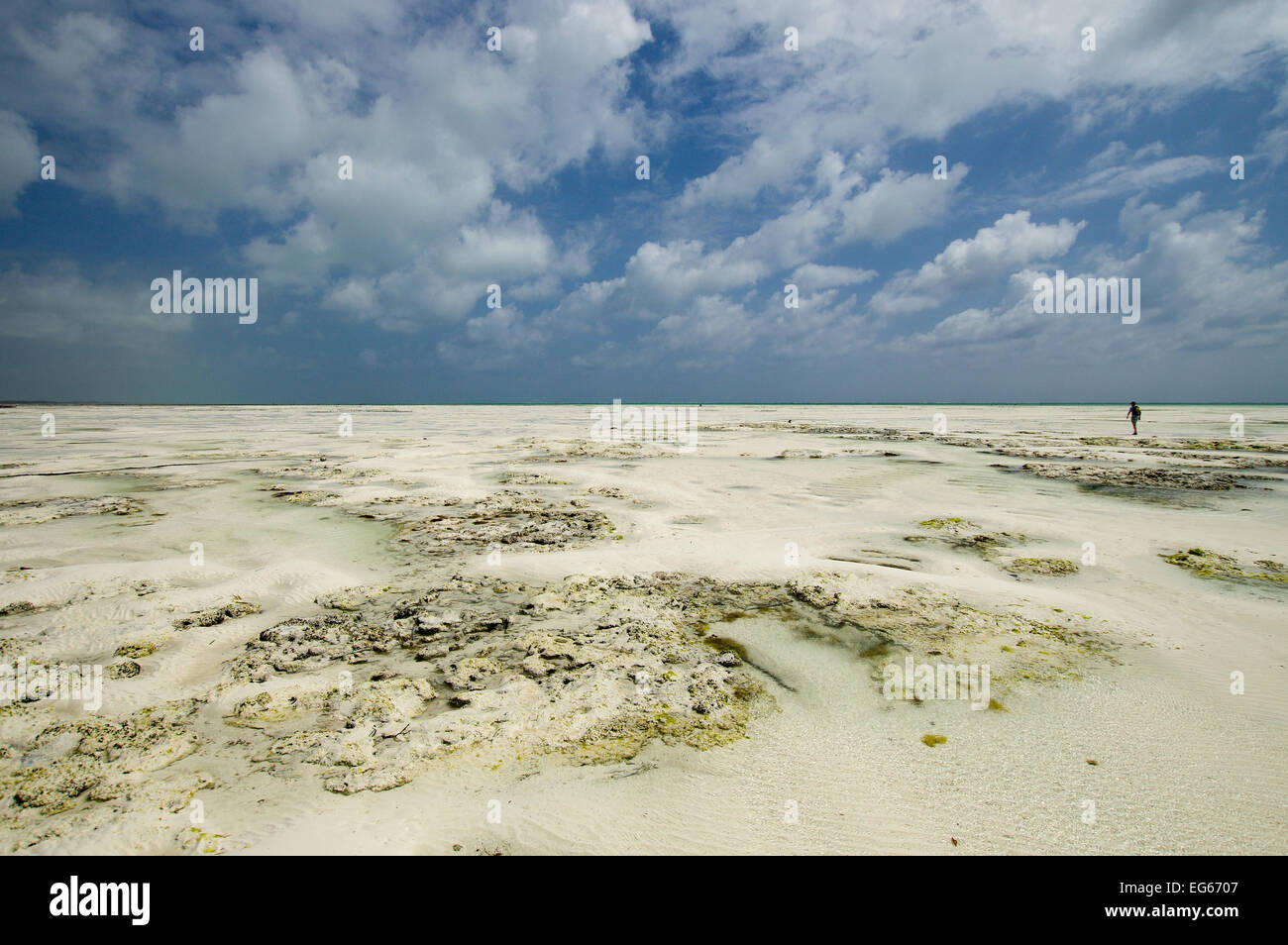 Intertidal flats hi-res stock photography and images - Alamy