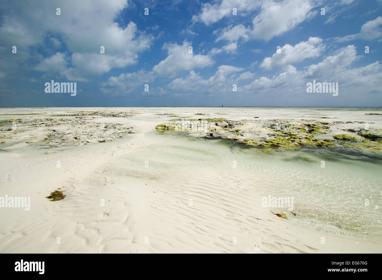 Intertidal flats hi-res stock photography and images - Alamy