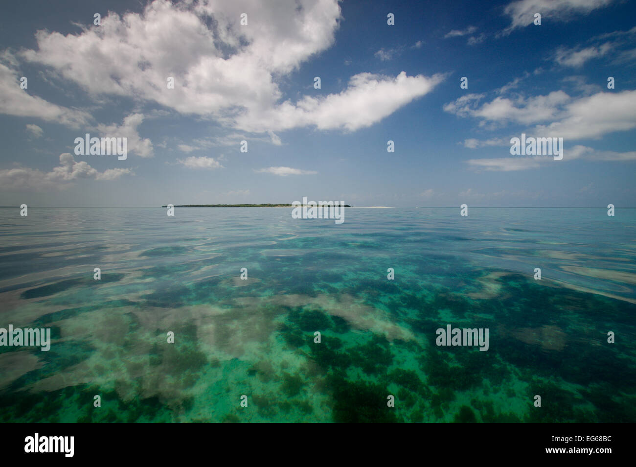 Island hopping in Zanzibar Stock Photo - Alamy