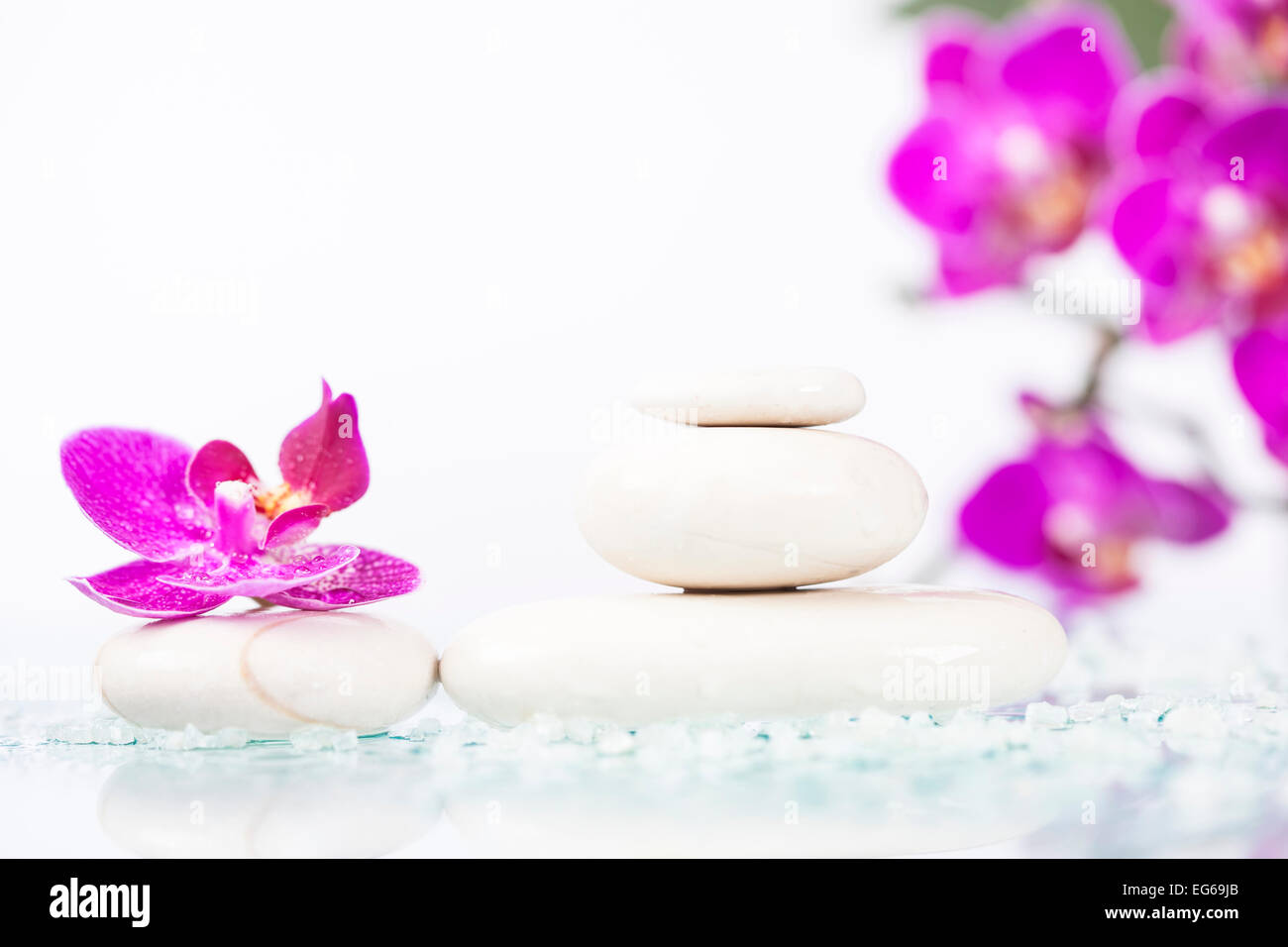 Spa stones and pink flower on white Stock Photo - Alamy