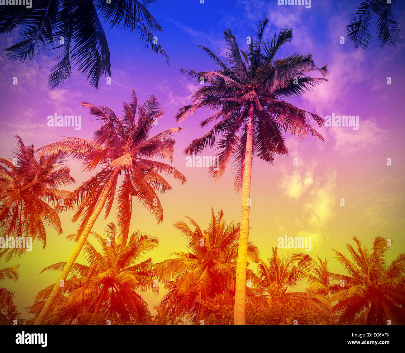 Background High Resolution Stock Photography and Images - Alamy