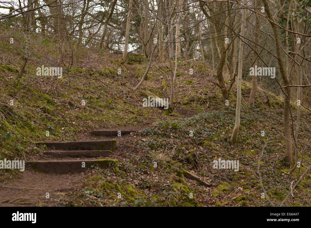 Steps for the Hike Stock Photo - Alamy