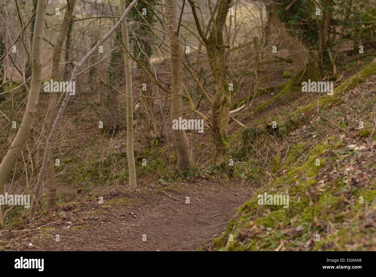 Recreation path hi-res stock photography and images - Alamy