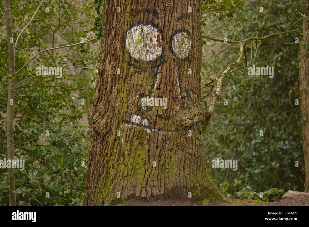 Eye popping hi-res stock photography and images - Alamy