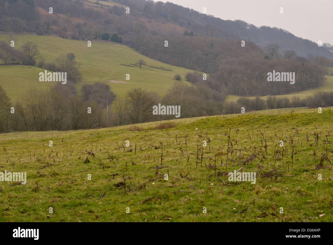 Open valley hi-res stock photography and images - Alamy