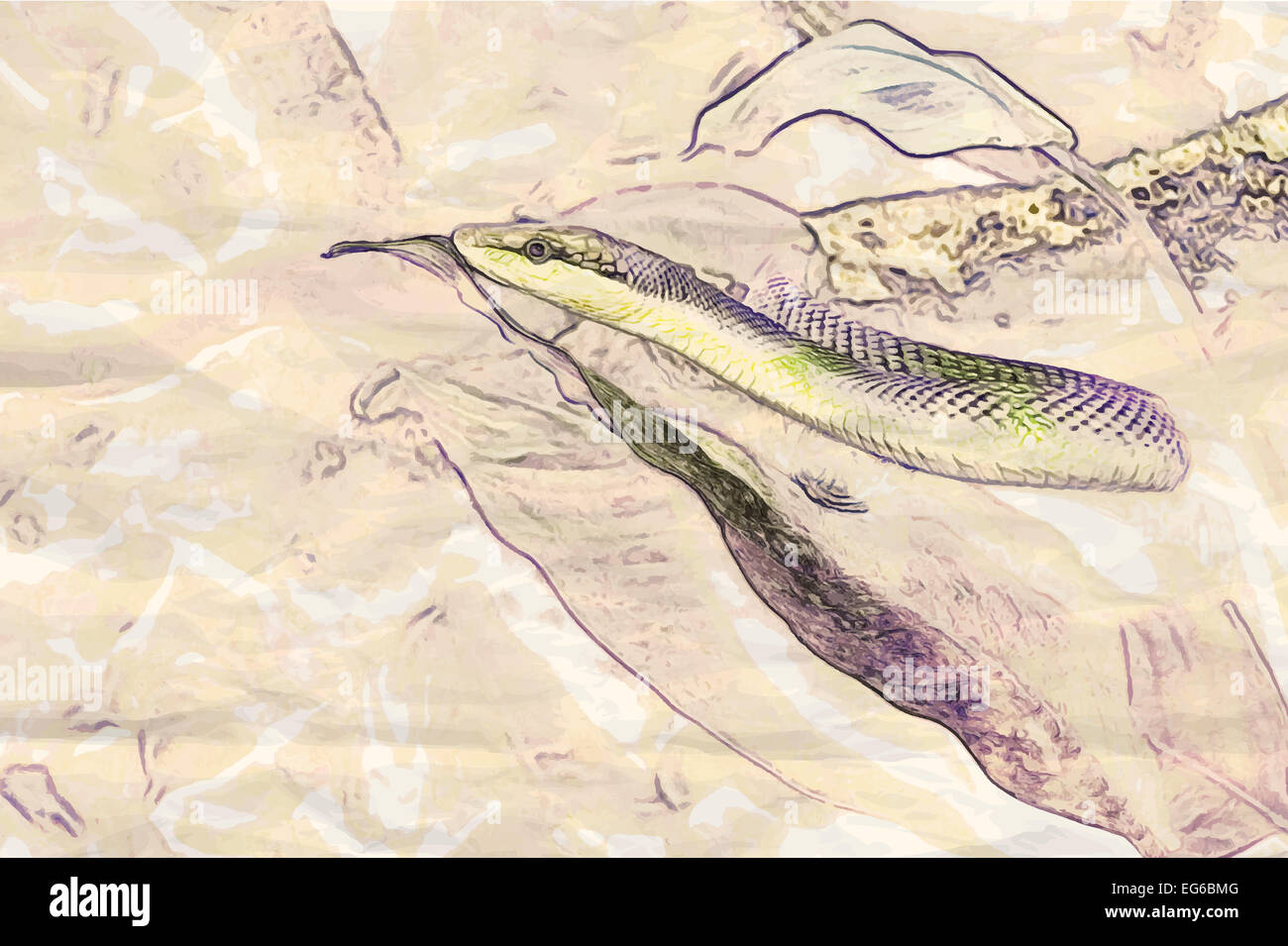 Africa jungle snake hi-res stock photography and images - Alamy