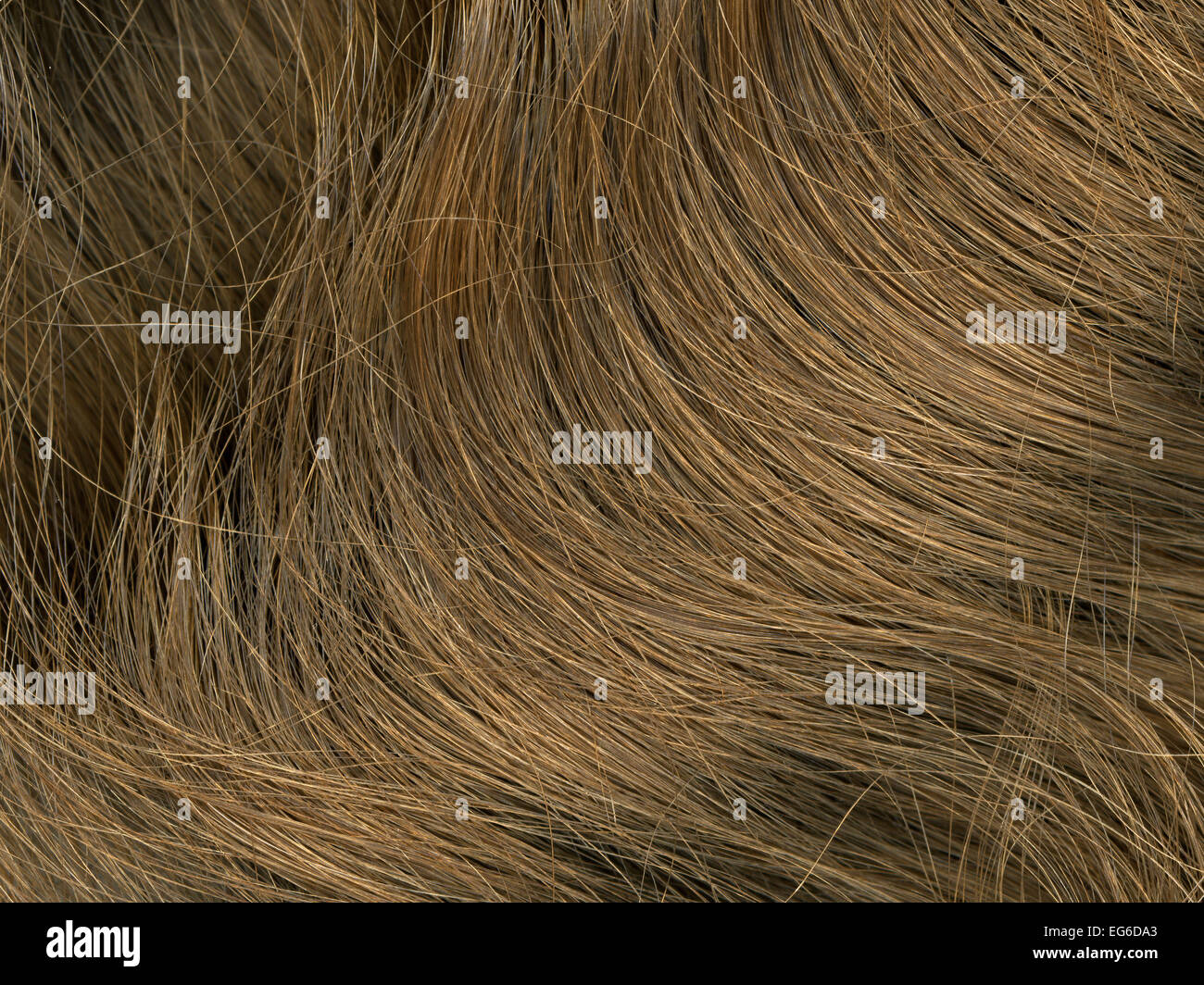 Curled hair hi-res stock photography and images - Alamy