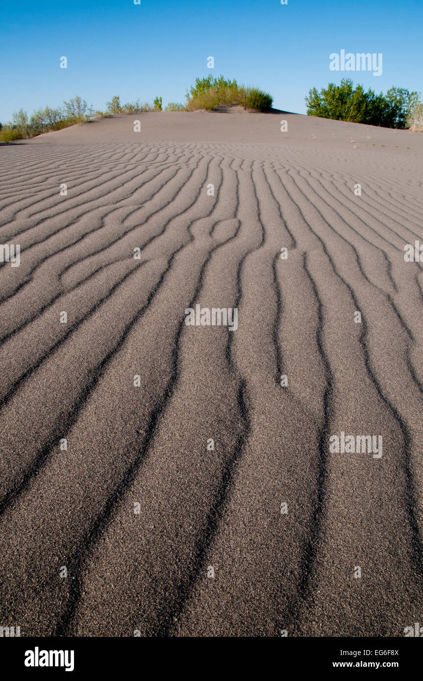 Sand dune and ripples in Bruneau Dunes State Park Idaho Stock Photo - Alamy