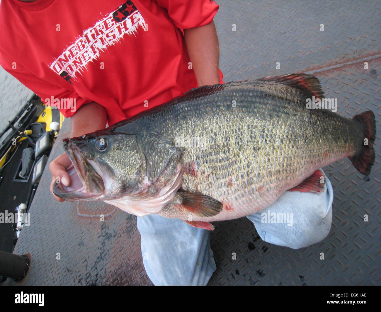 Manabu Kurita shows off the 22.5-pound (10.12-kilo) Largemouth Bass he ...