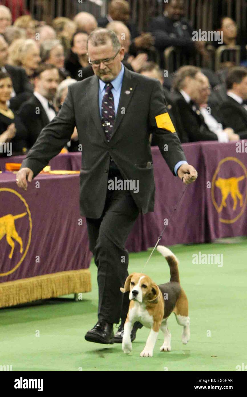 Miss wong hi-res stock photography and images - Alamy