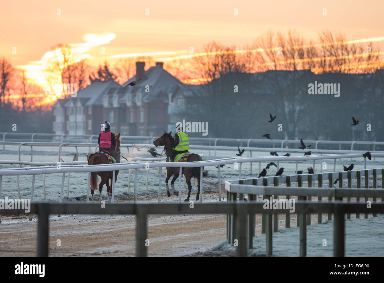 Sunrise horses on gallops hi-res stock photography and images - Alamy