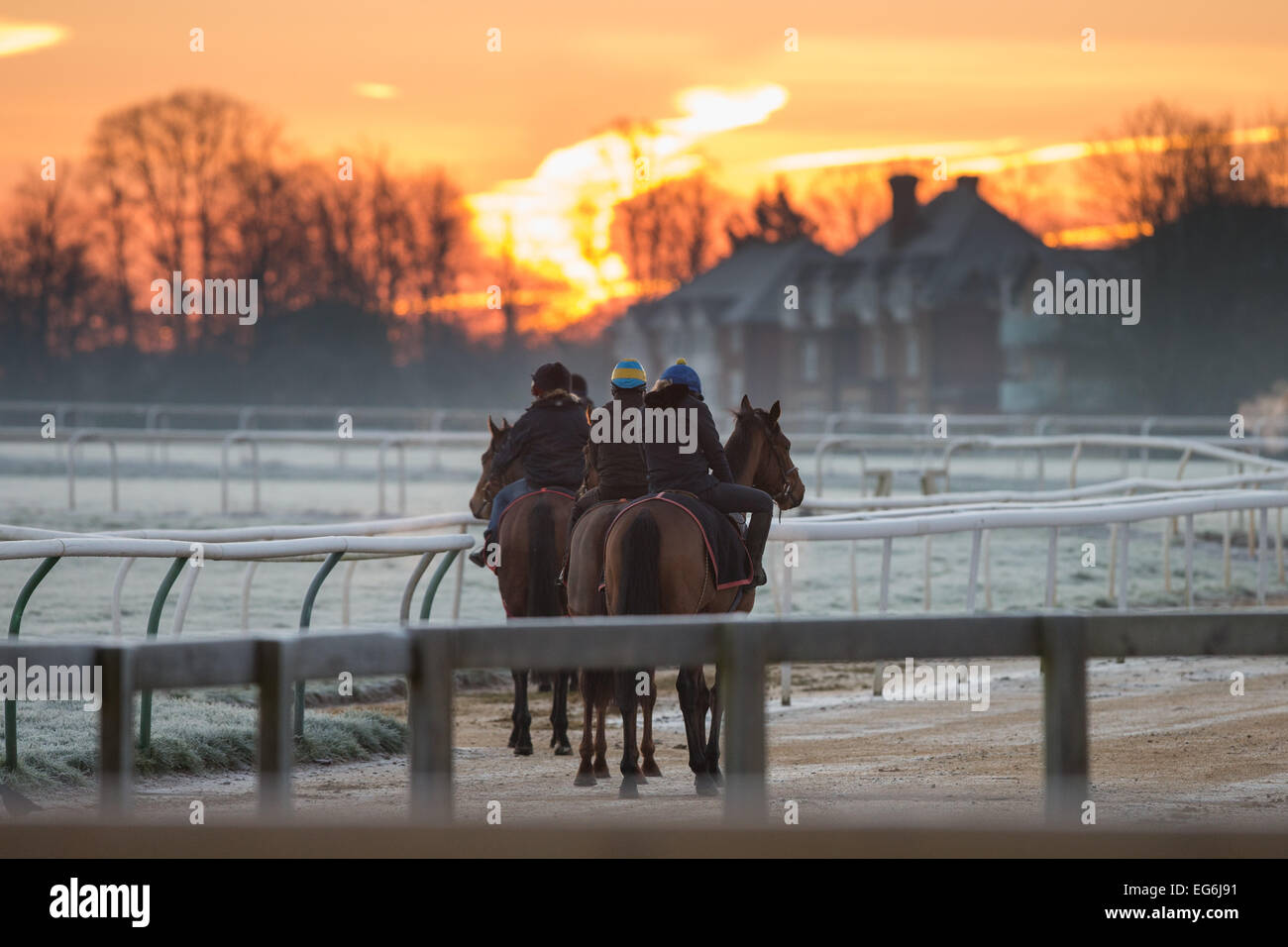 Sunrise horses on gallops hi-res stock photography and images - Alamy