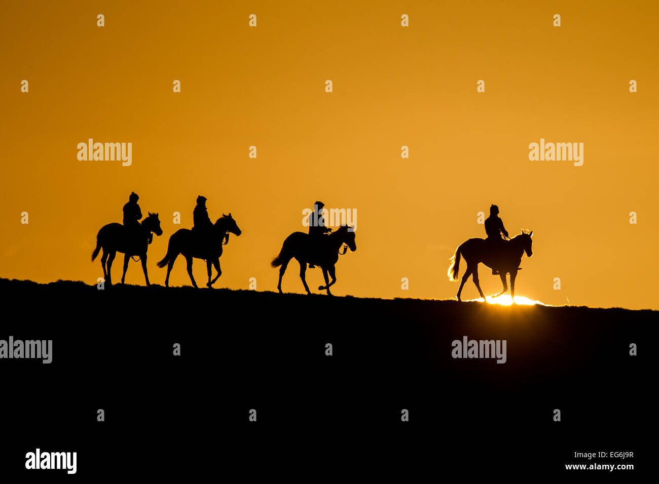 Sunrise horses on gallops hi-res stock photography and images - Alamy
