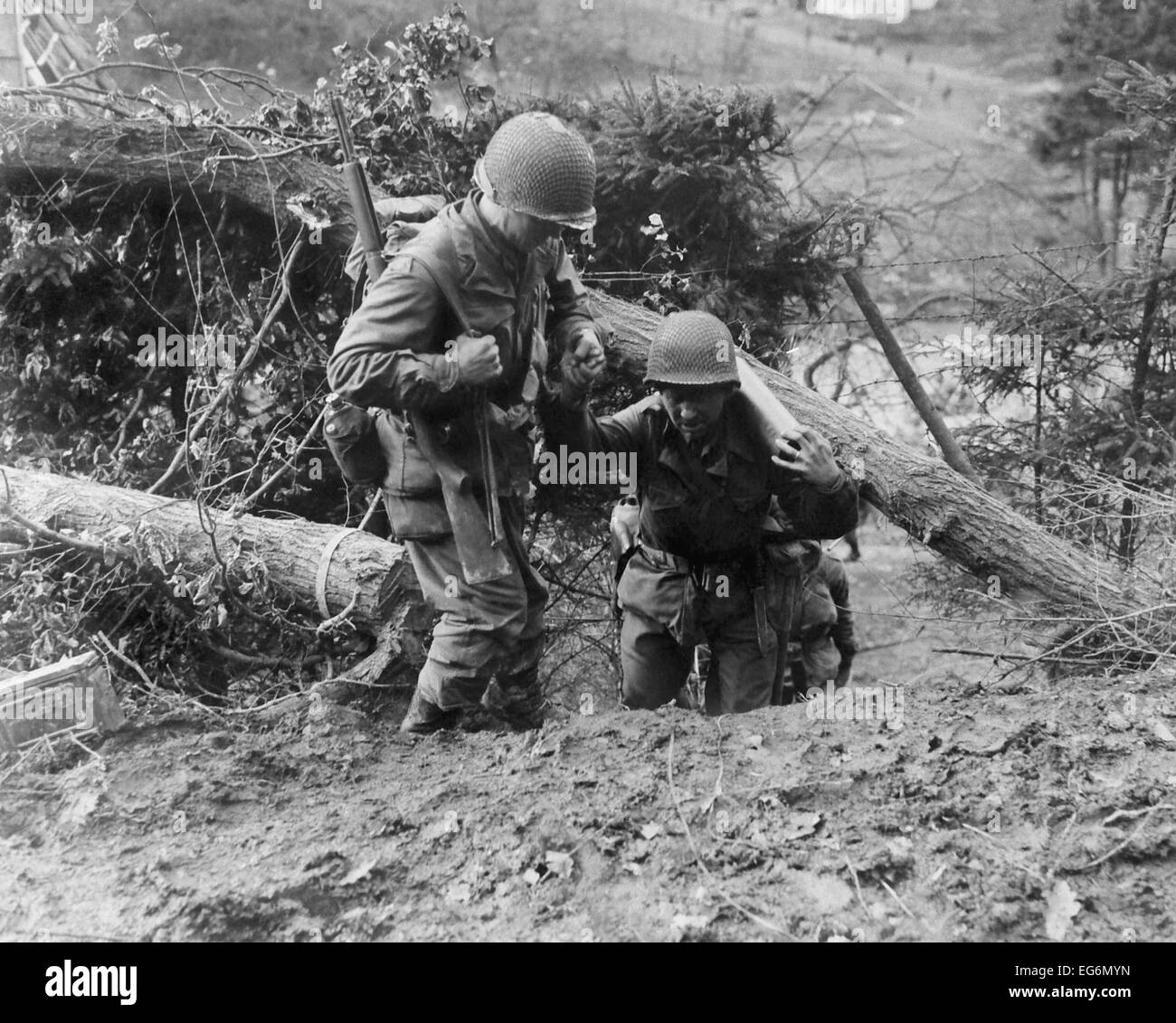 U.S. Infantrymen, in the Hurtgen Forest. One soldier helps another ...
