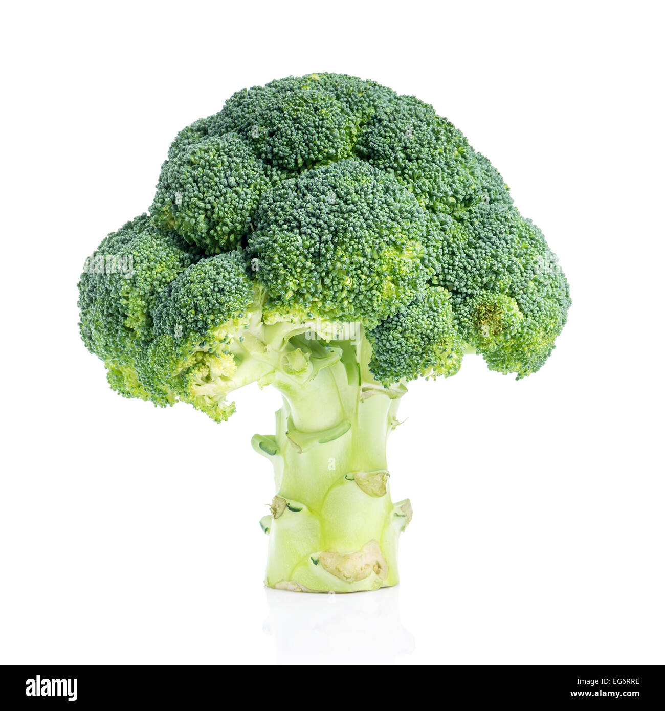 Fresh raw green broccoli isolated on white background Stock Photo - Alamy