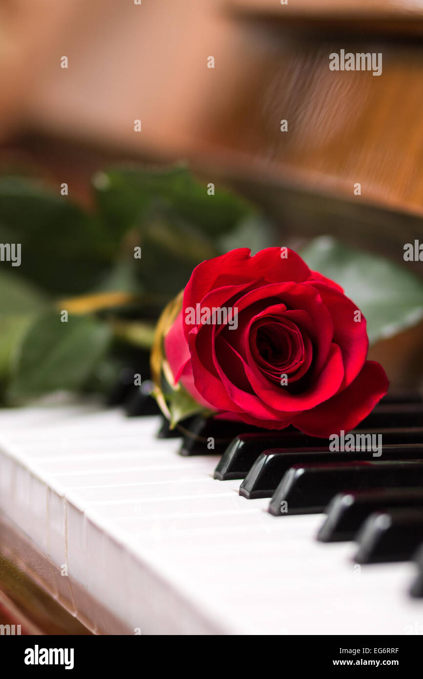 Piano With Rose Photography