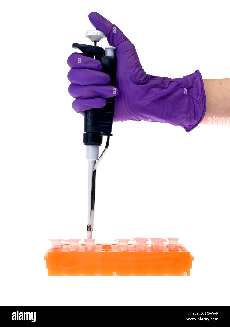 Lab specimen Cut Out Stock Images & Pictures - Alamy