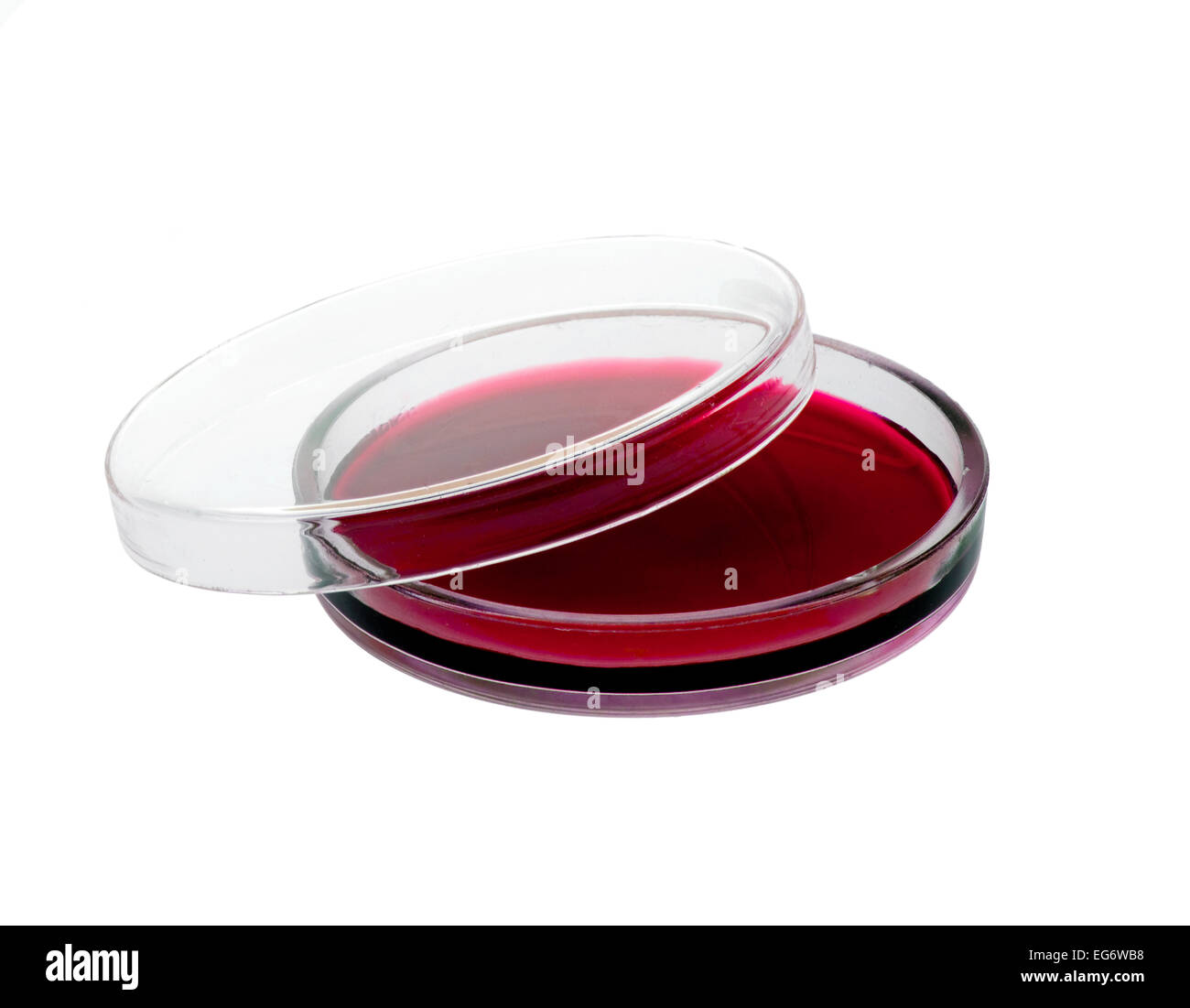 Agar plate hi-res stock photography and images - Alamy