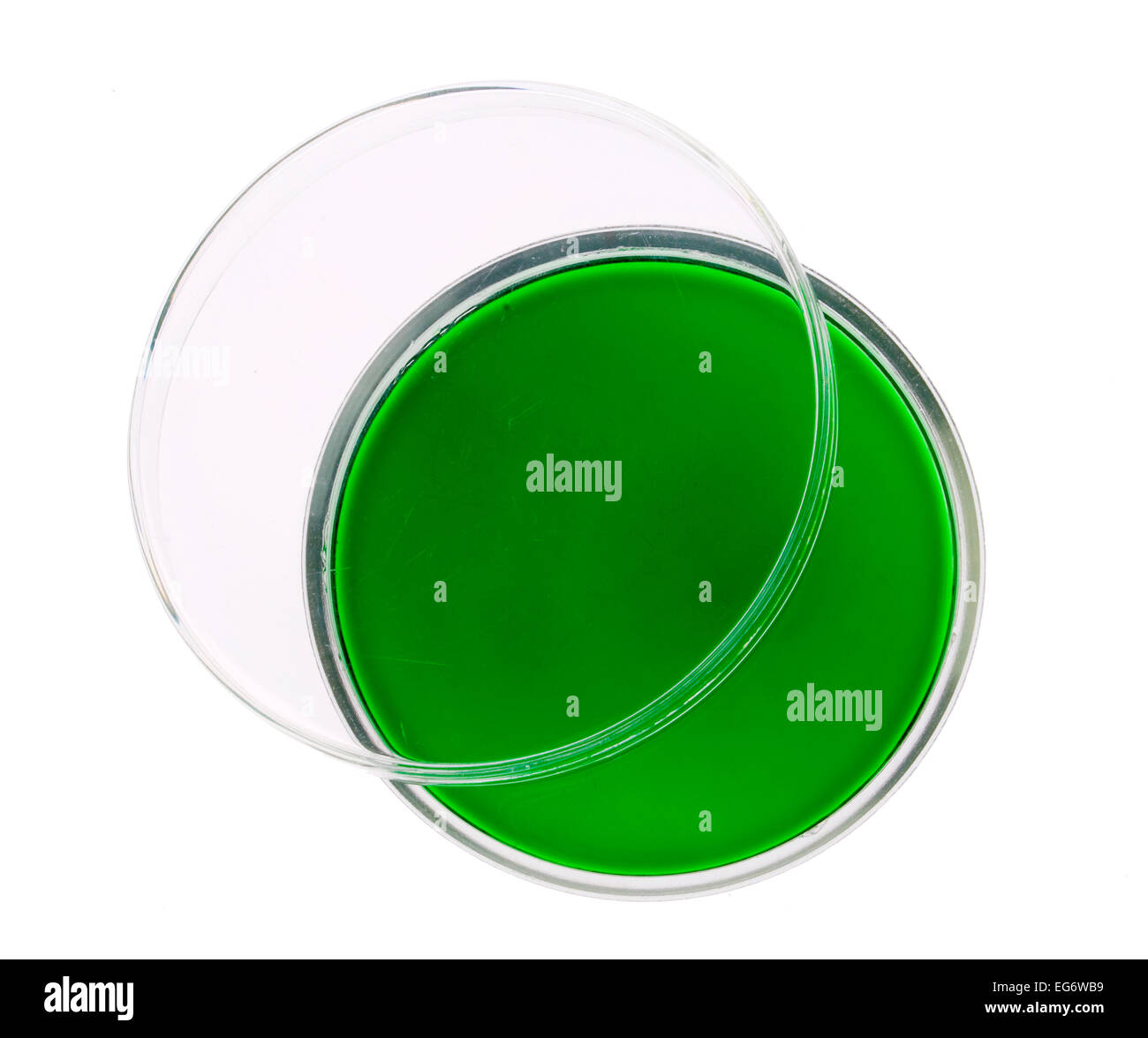 Agar plate hi-res stock photography and images - Alamy