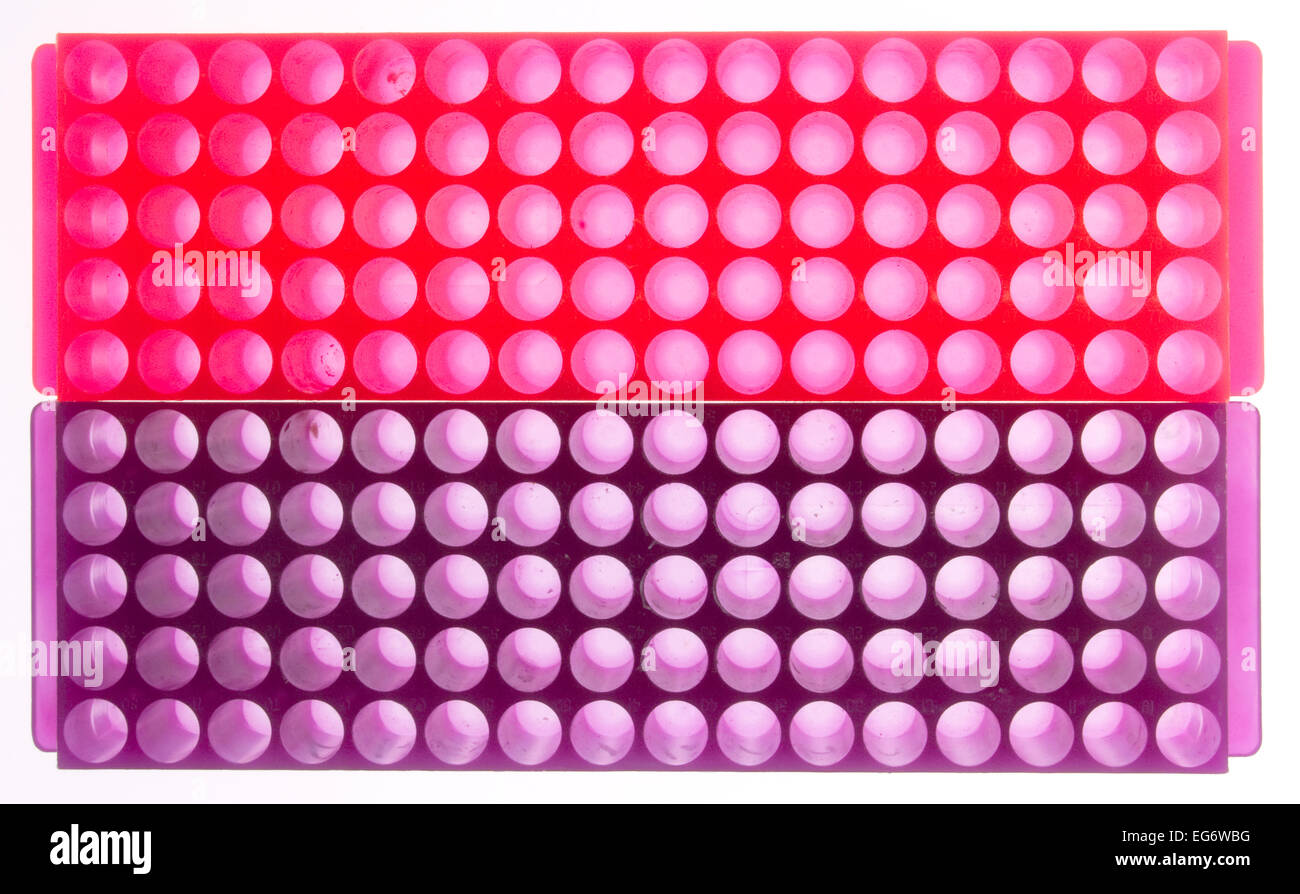 Cell culture plate Stock Photo - Alamy
