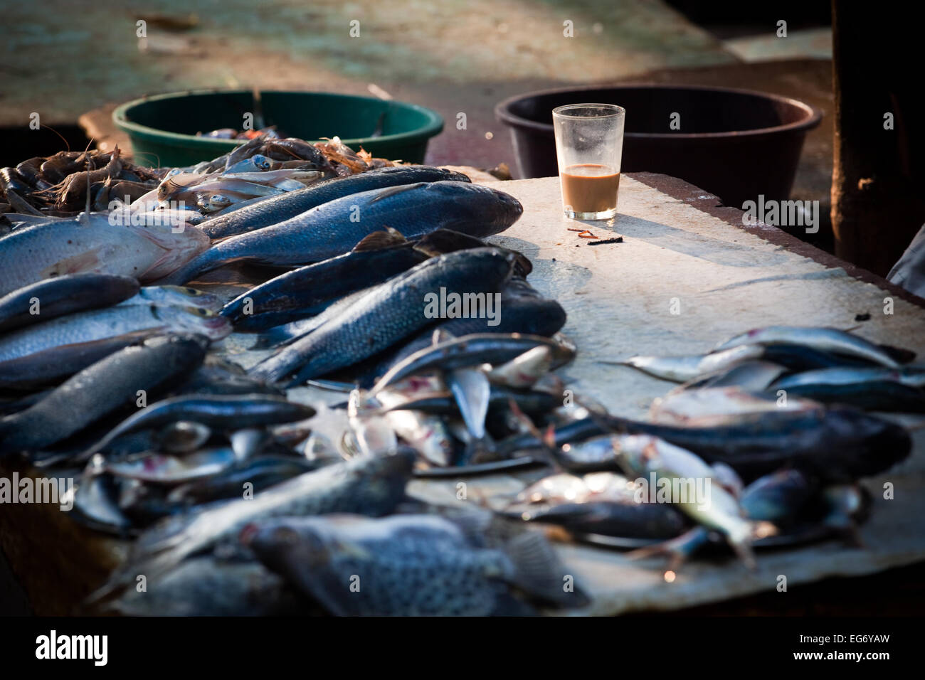 Cup of chai at a fish stall, Kochi, Kerala Stock Photo - Alamy
