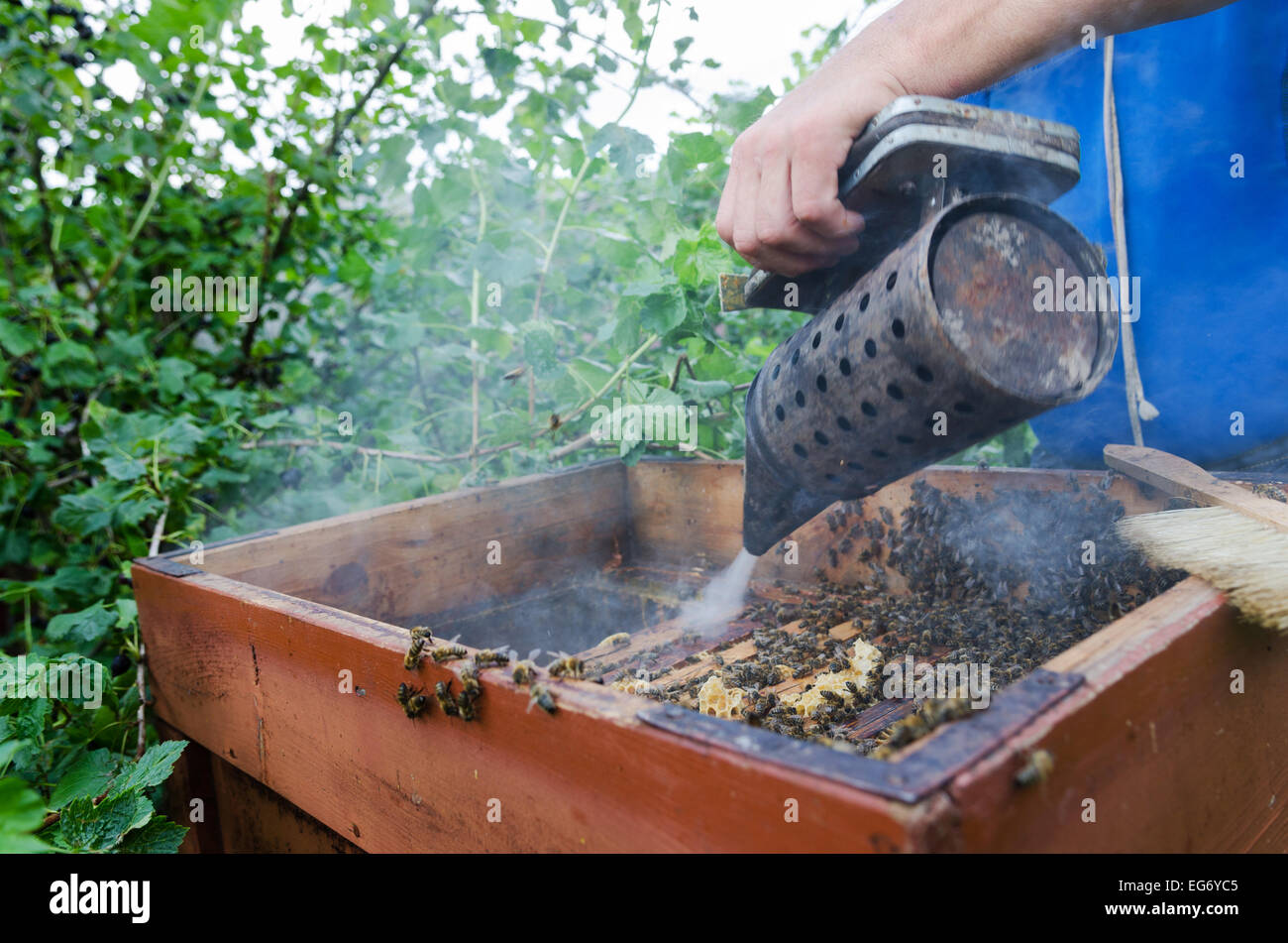 Spraying full frame hi-res stock photography and images - Alamy