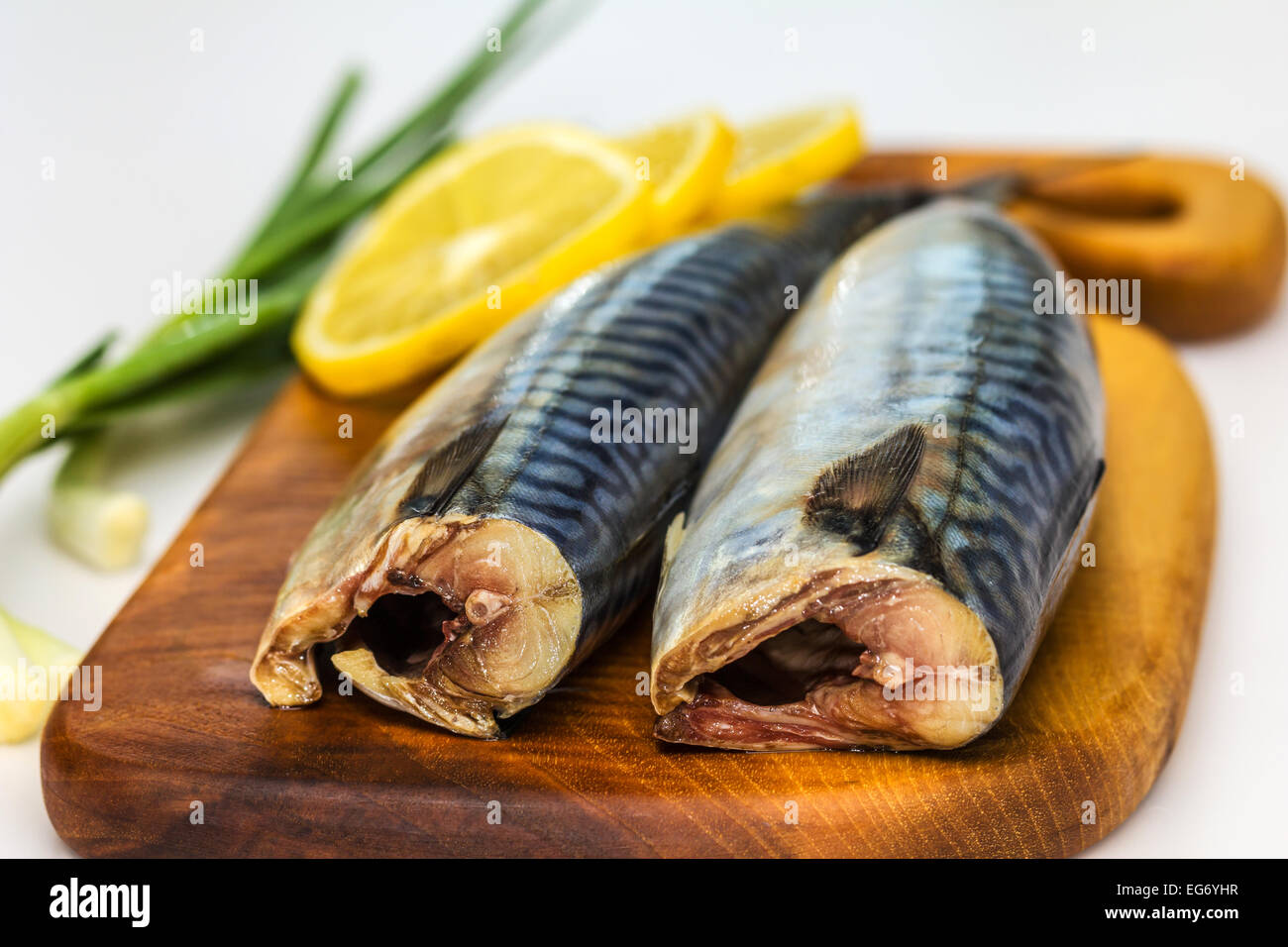 Mackerel Fish (Scomber scrombrus) over white background Stock Photo - Alamy