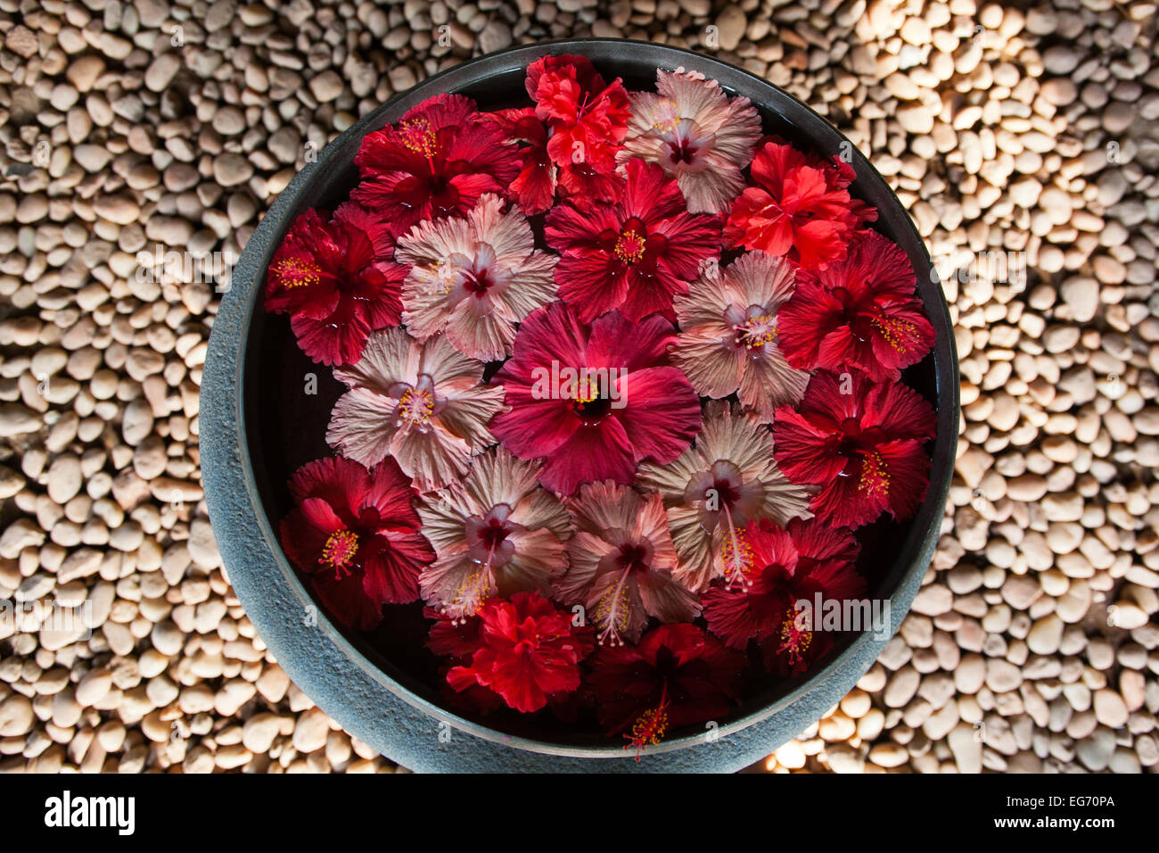 Pink decorative flowers float on water, spiritual India Stock Photo - Alamy