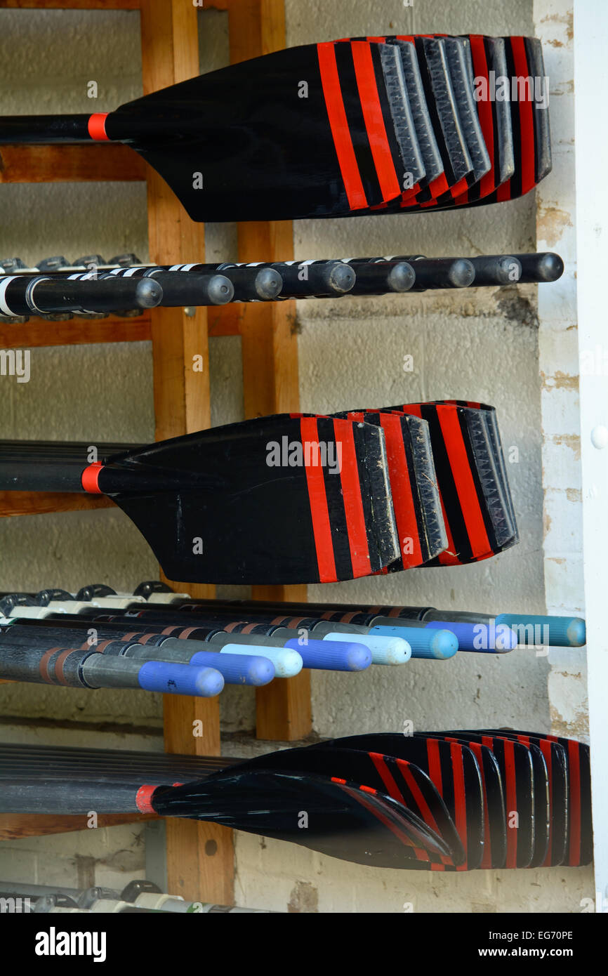 Oars stacked in boat shed on edge of River Ouse in Bedford ...