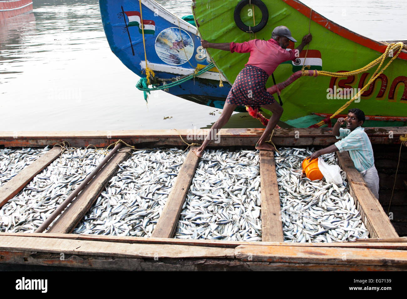 Vypen Island Fish Market, Cochin, Kerala, India Stock Photo - Alamy