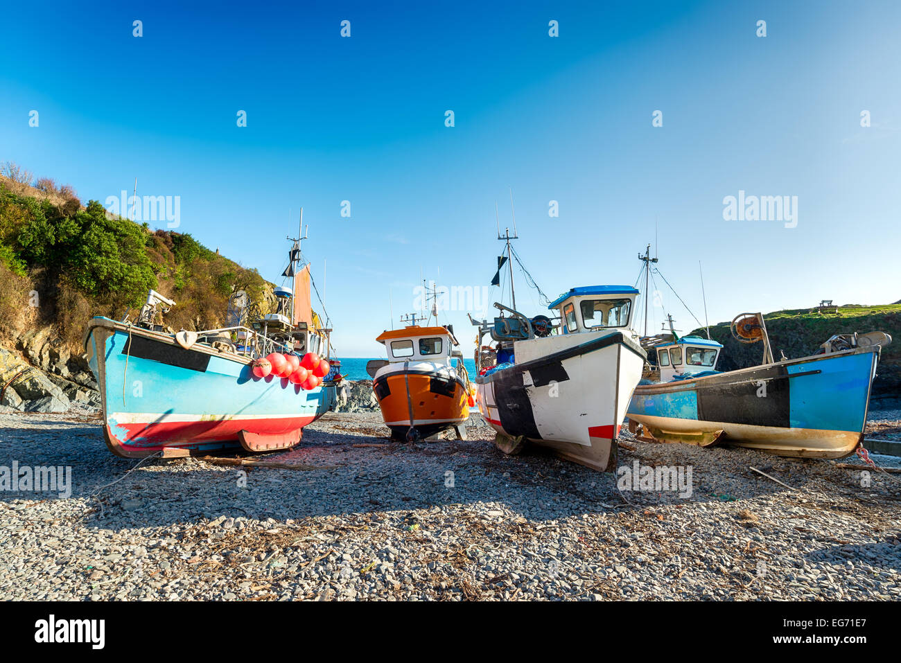 Boats lizard hi-res stock photography and images - Alamy