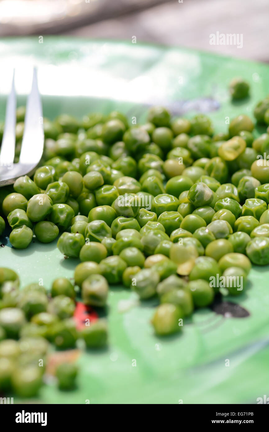 Wasted garden hi-res stock photography and images - Alamy