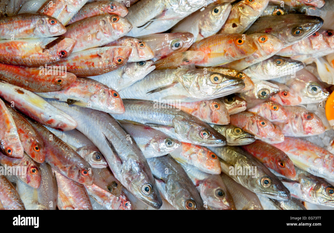 Fishes seafood hi-res stock photography and images - Alamy