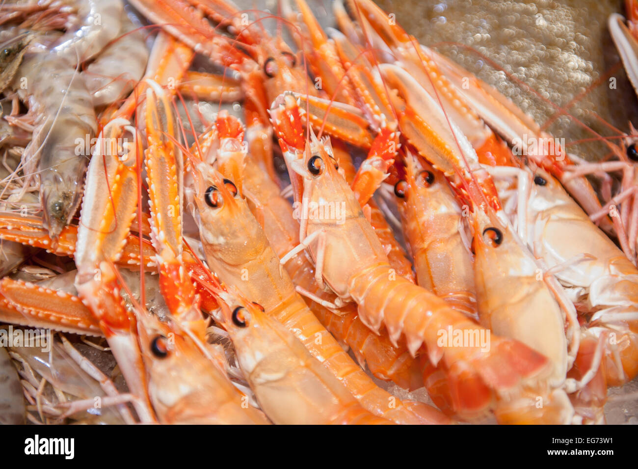 Raw prawn hi-res stock photography and images - Alamy