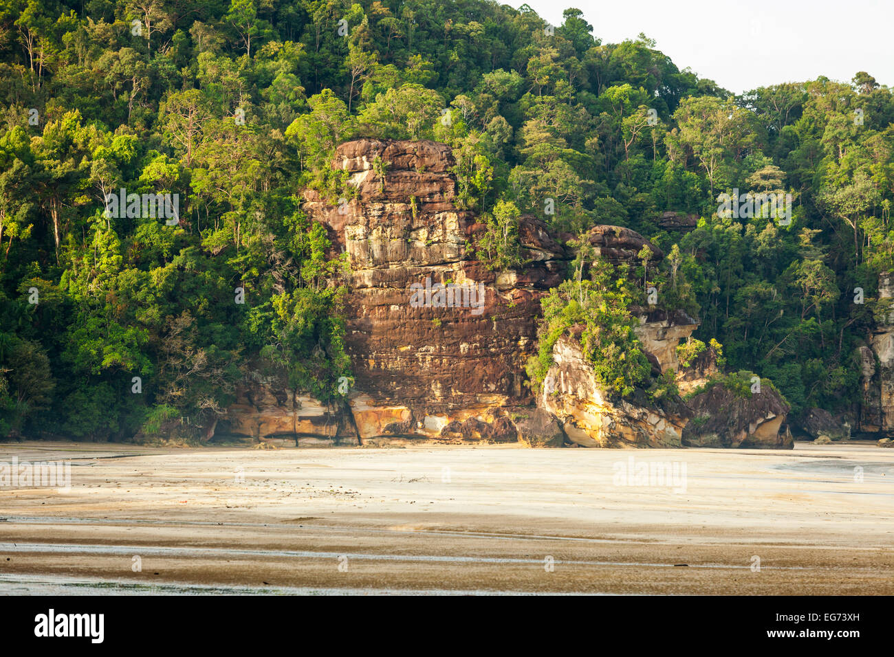 Big cliff rainforest and exotic sand beach Stock Photo - Alamy