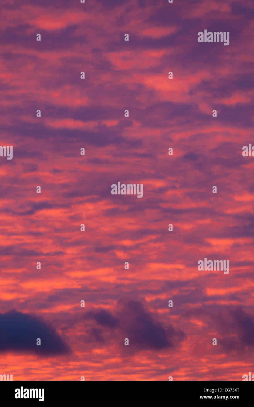 Vibrant purple clouds sunset Stock Photo - Alamy