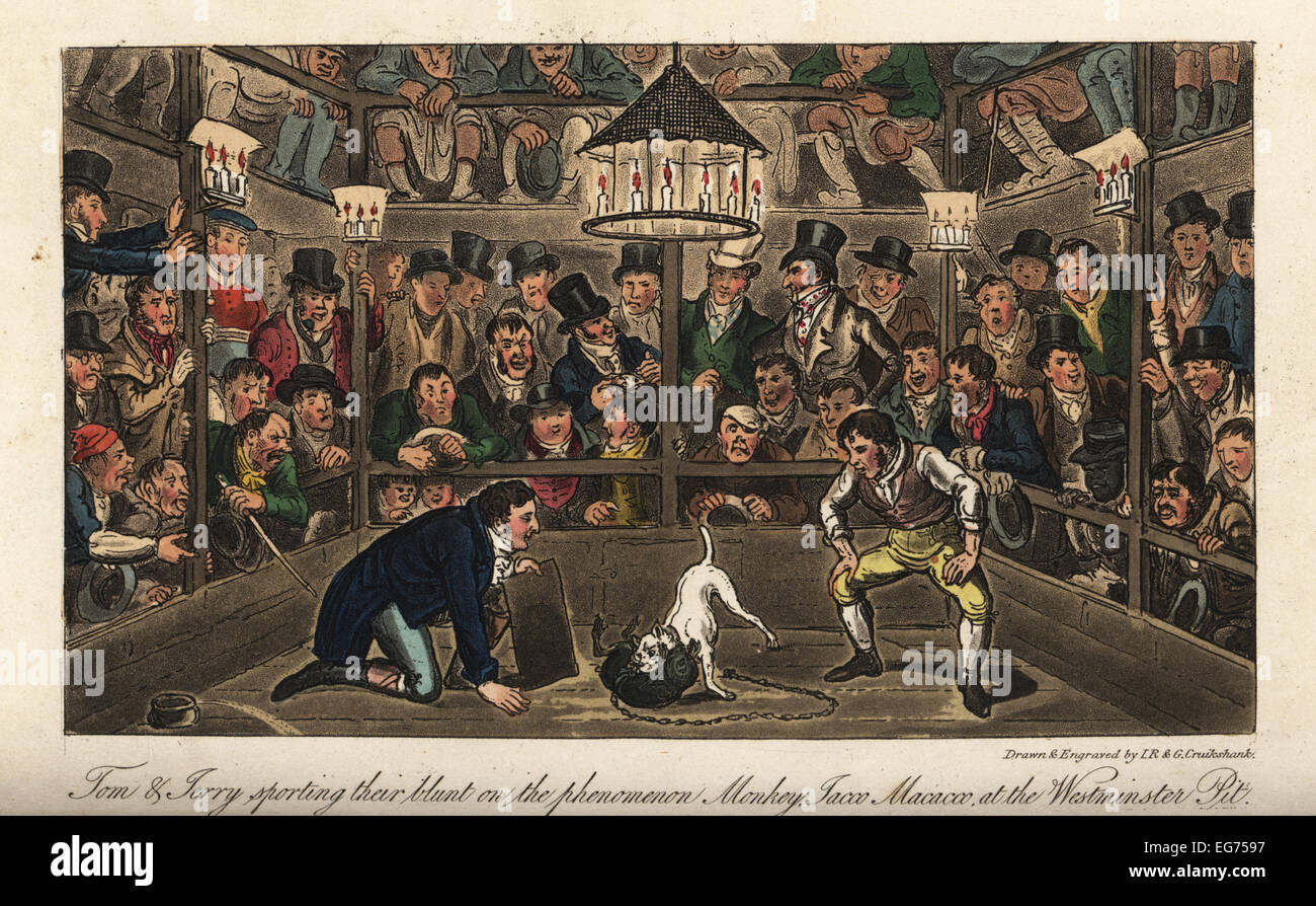Monkey baiting hi-res stock photography and images - Alamy