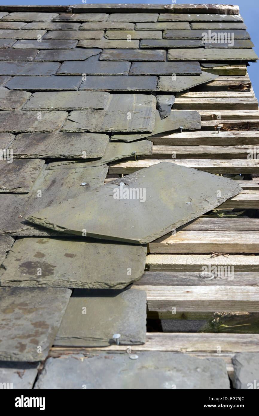 broken and fallen slate leaves holes in a roof due to storm or decay ...