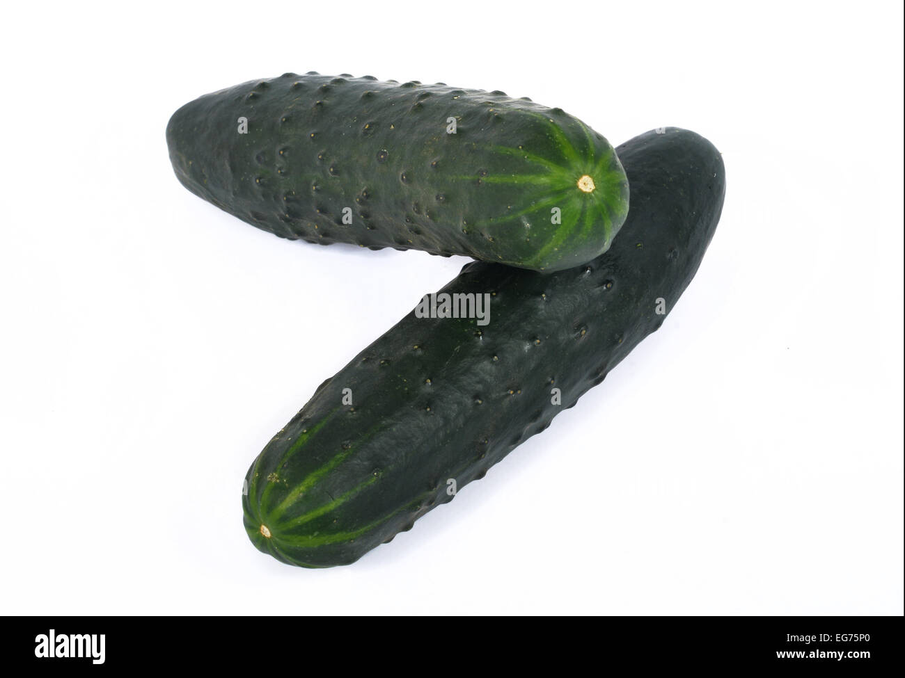 two cucumbers isolated on white background Stock Photo - Alamy