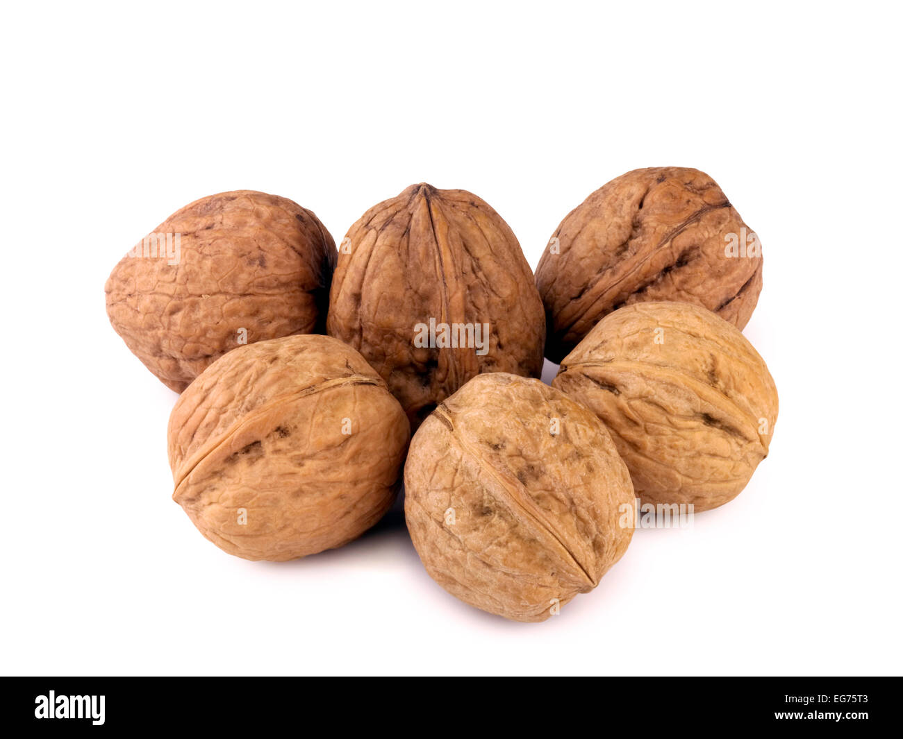 Walnut shell nutshell nut hi-res stock photography and images - Alamy
