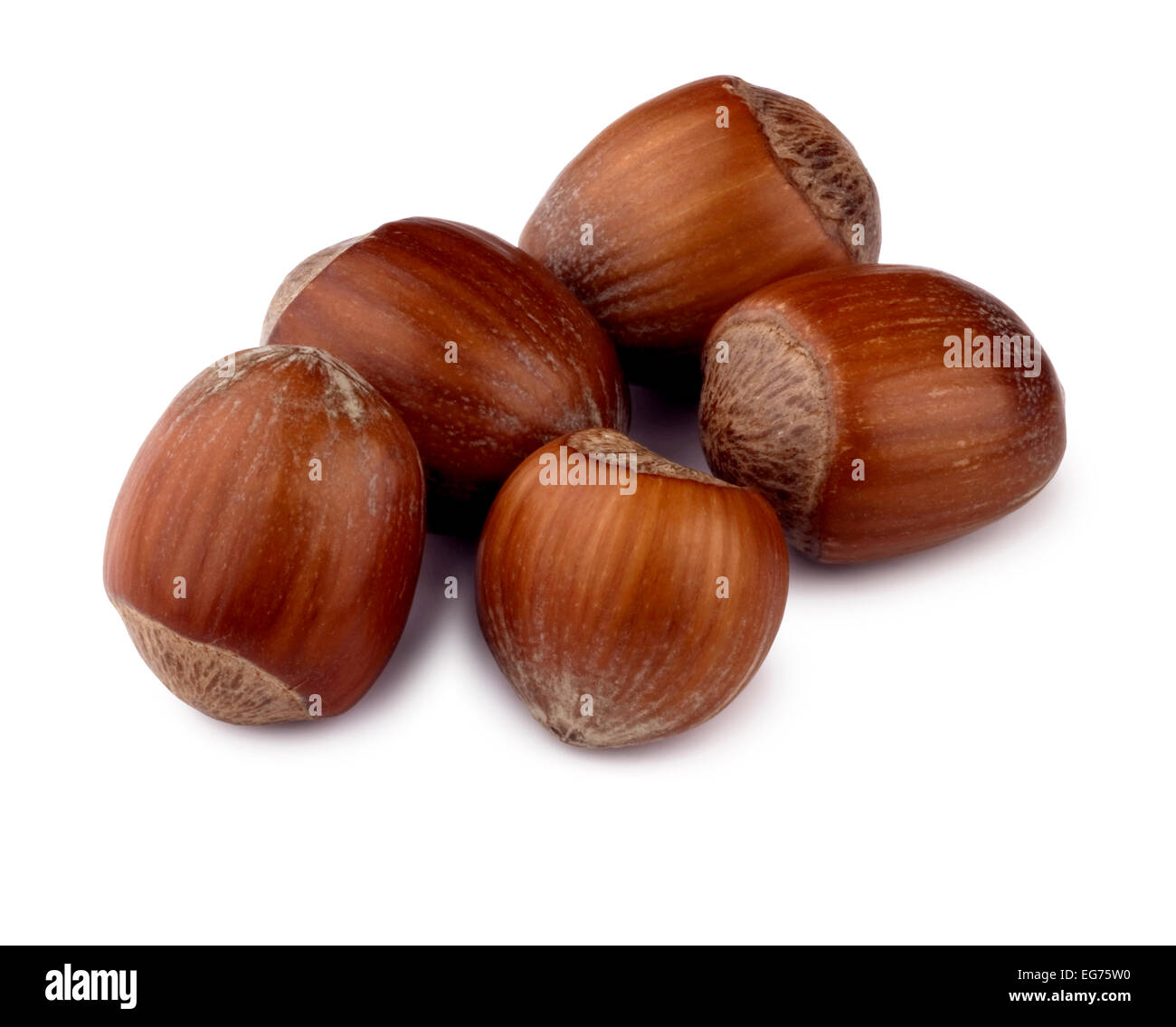 Unpeeled hazelnuts hi-res stock photography and images - Alamy