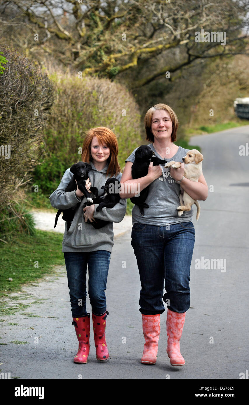 Volunteers exercising puppies at the Many Tears Animal Rescue centre ...