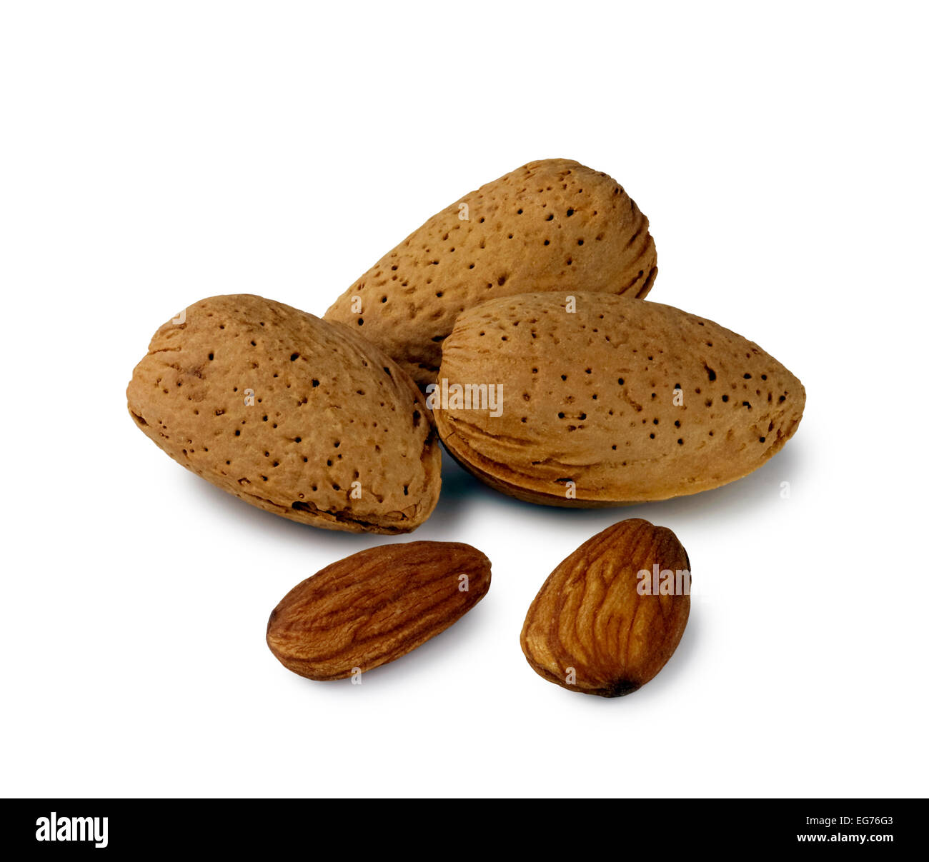 Opened almonds shells hi-res stock photography and images - Alamy